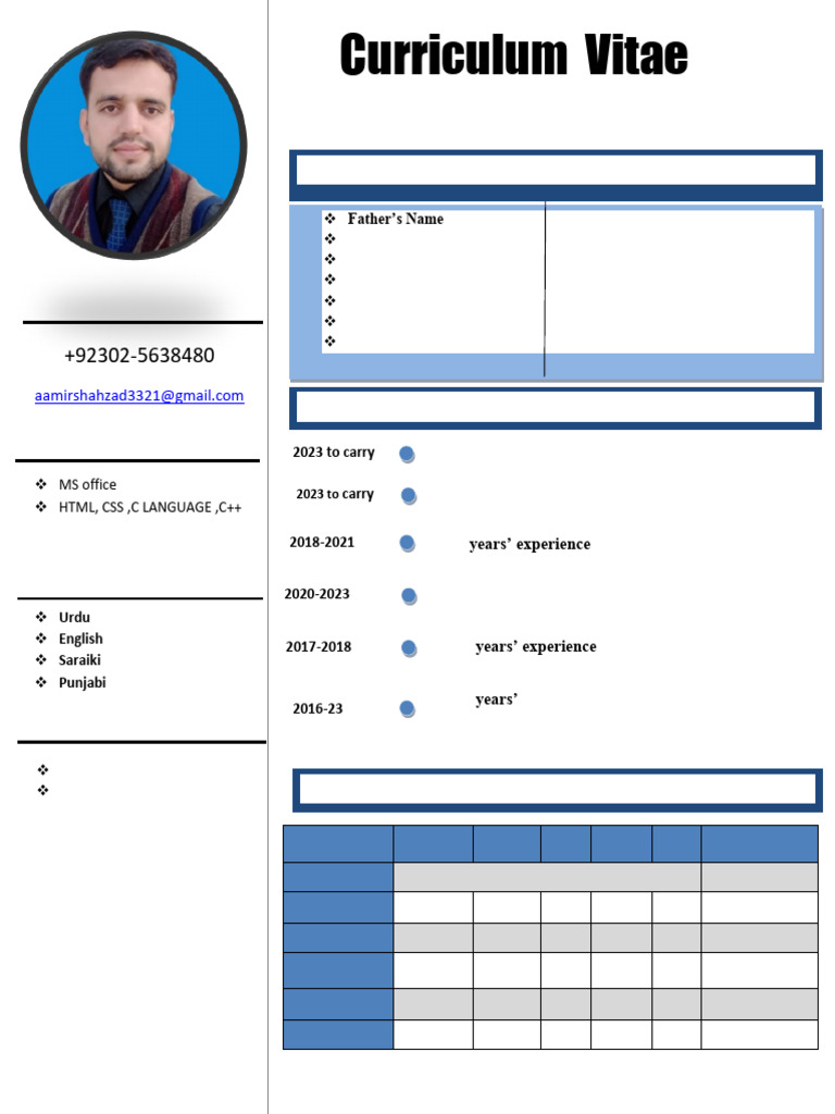 CV Computer | PDF