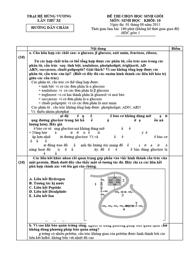 (123doc) - Dap-An-Hsg-Sinh-Hoc-Lop-10-Trai-He-Hung-Vuong-2015-Hoc-Toan-Tap | PDF
