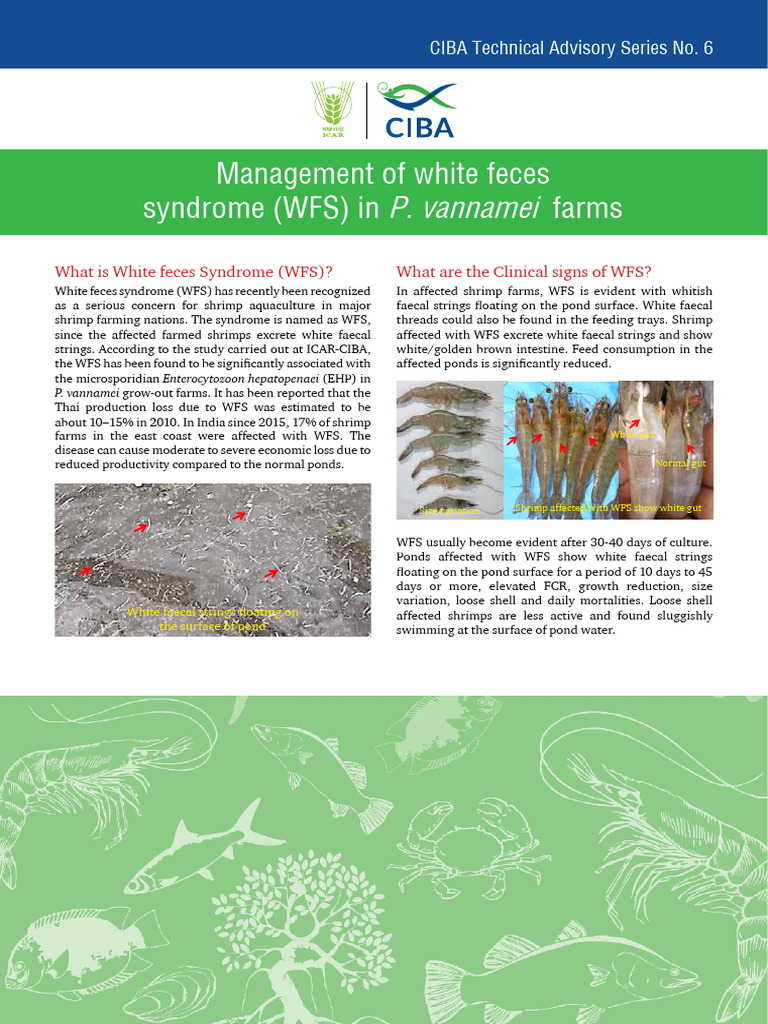 Management of White Feces | PDF
