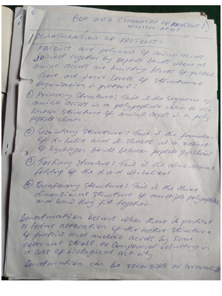 BCH 202 Denaturation | PDF