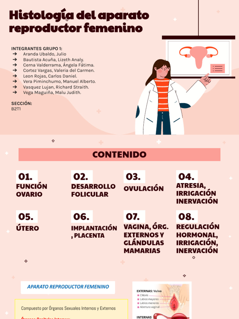 Histología Aparato Rep Femenin | PDF