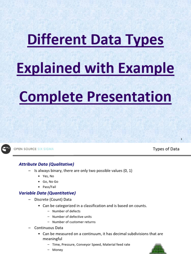 Different Data Types Explained With Example 1682901684 | PDF