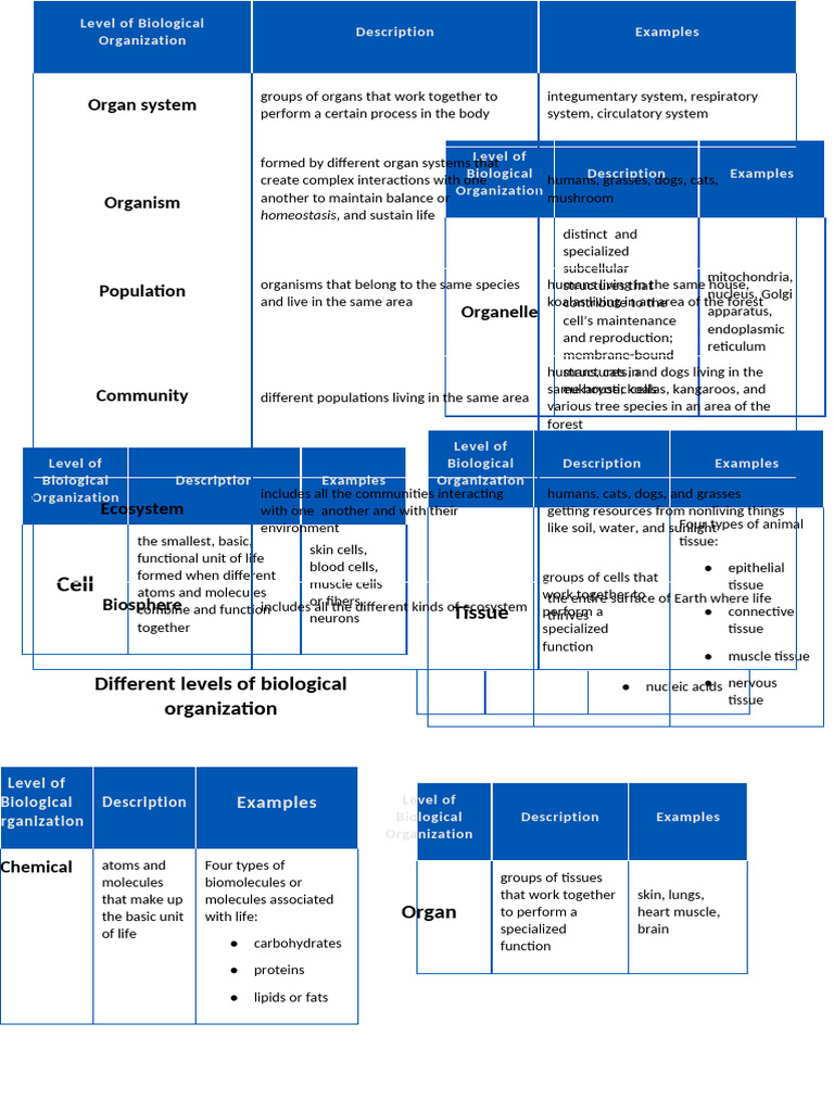 Gen Bio 1 Reviewer | PDF | Connective Tissue | Epithelium