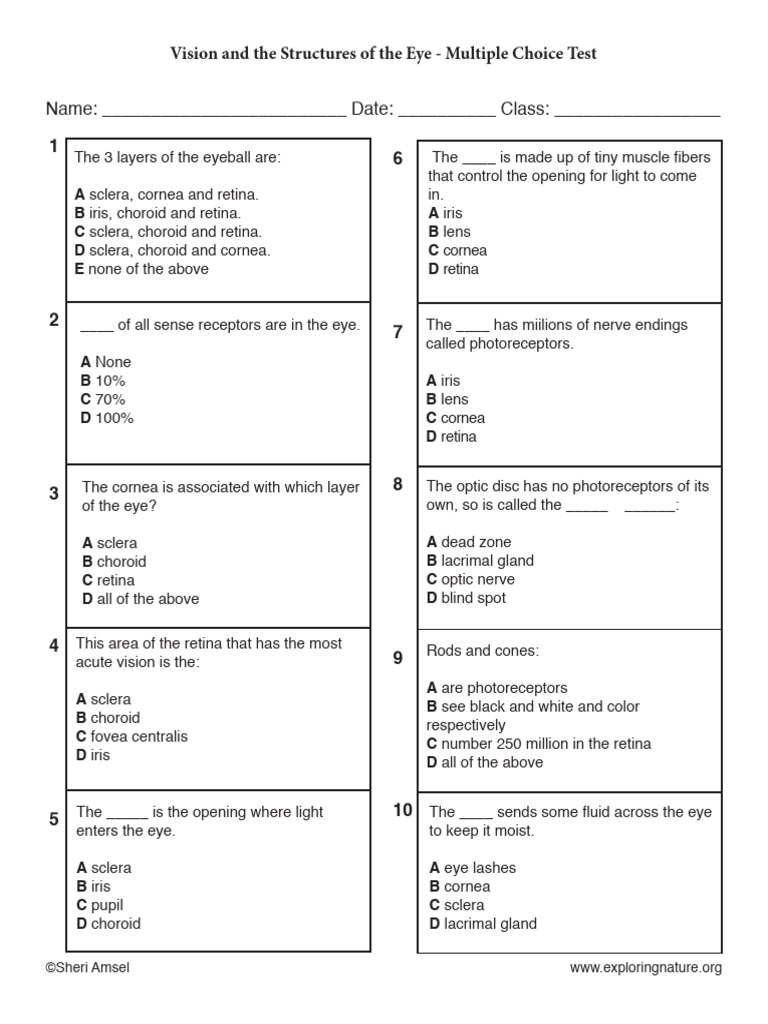 Eye Anatomy Quiz for Students | PDF | Eye | Retina