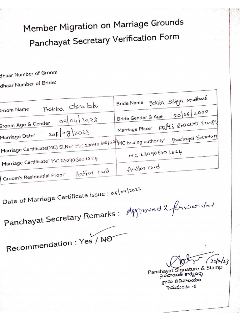 PS Verification Report | PDF