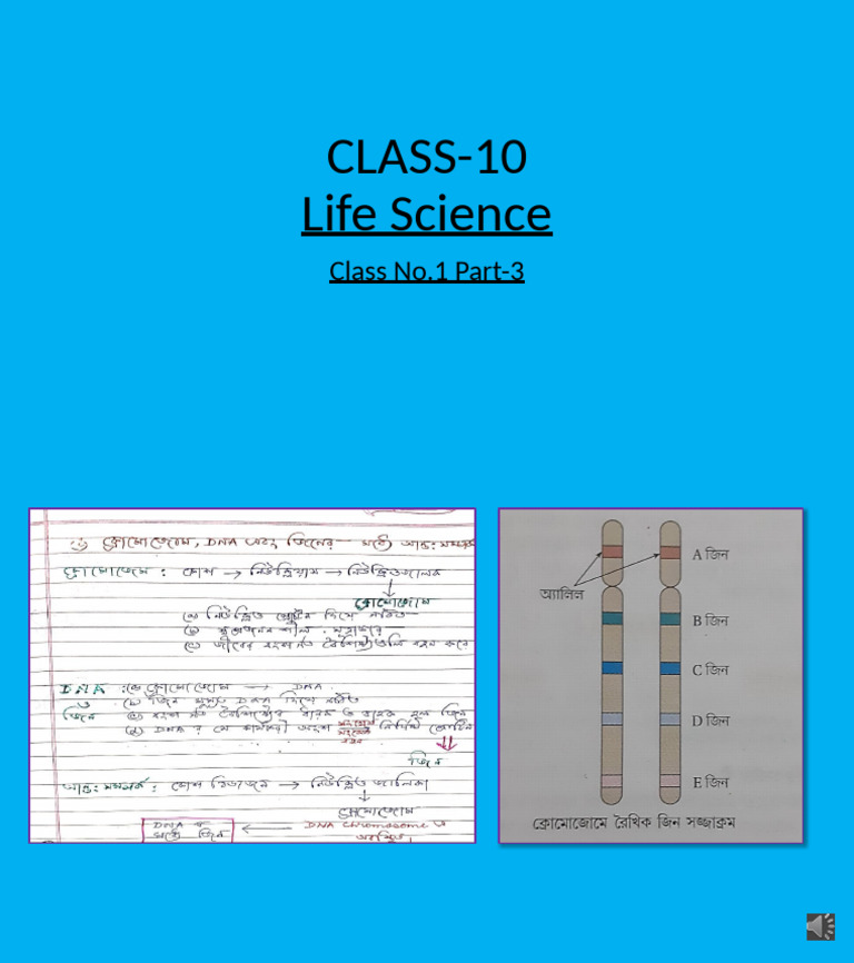 CLASS-10. Life Science. Part-3 | PDF