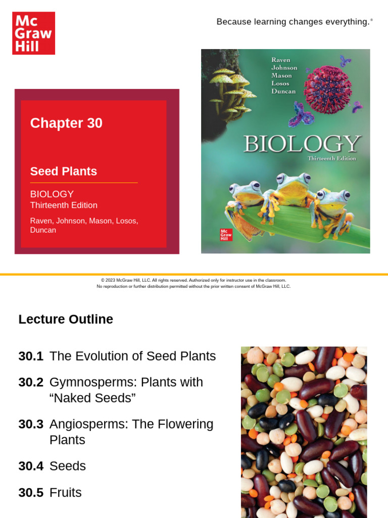 Chapt 30 | PDF
