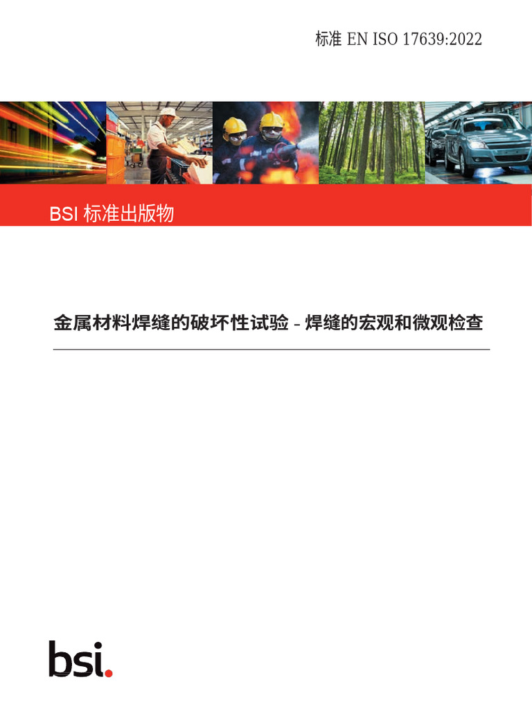Bs en Iso 17639-2022中文版 微观检测标准 | PDF