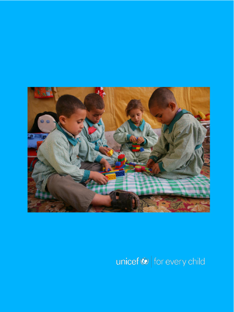 UNICEF Evaluation Report Standards Guide | PDF | Evaluation | Methodology