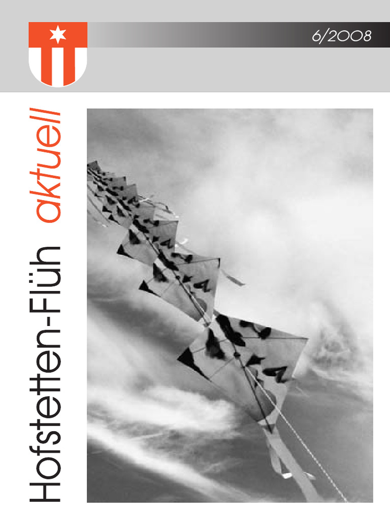 Aktuell 6 08 Web | PDF