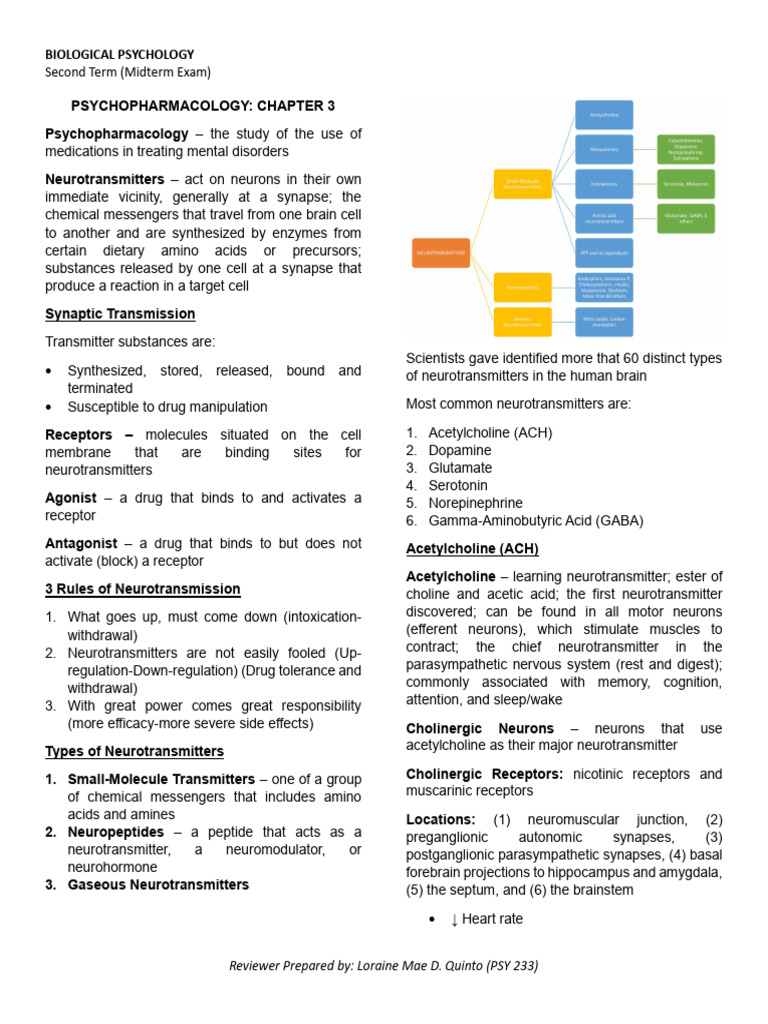 BioPsych Chapter 3 Reviewer | PDF | Neurotransmitter | Acetylcholine