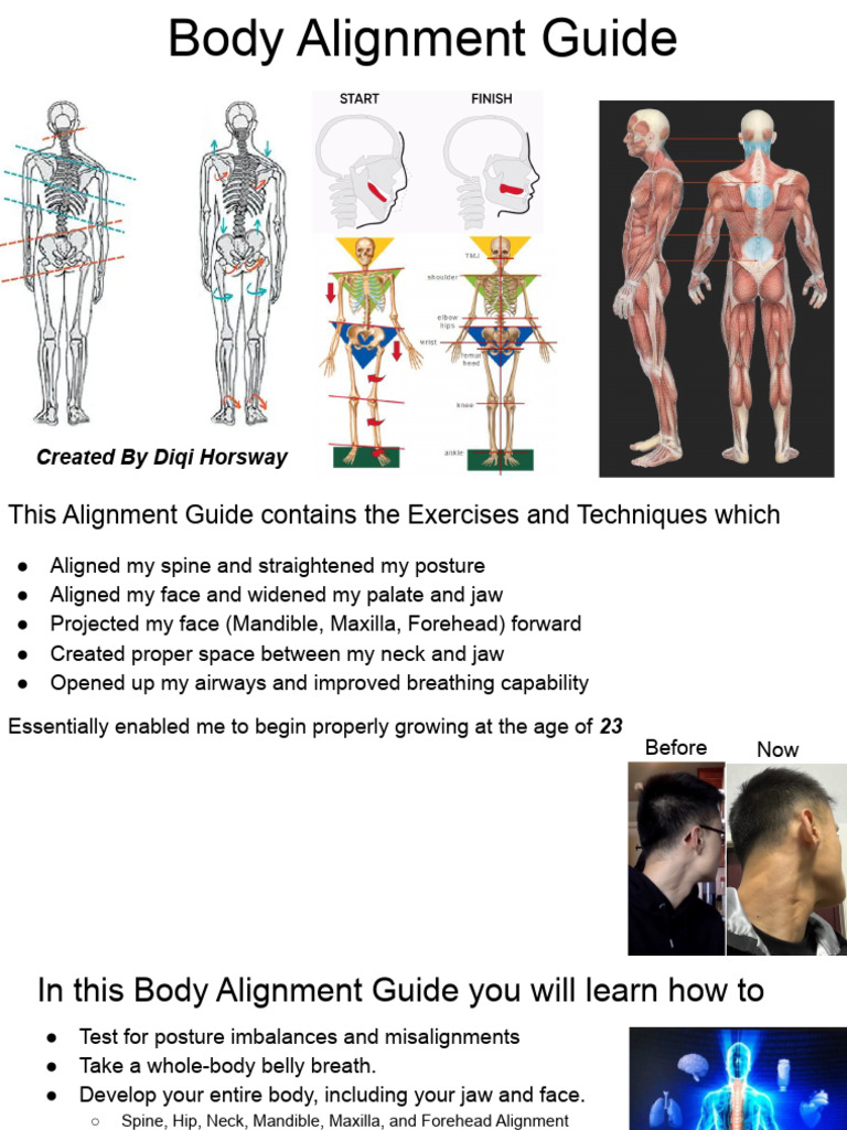Body Alignment Guide - Fascia Integration & Posture Restoration | PDF