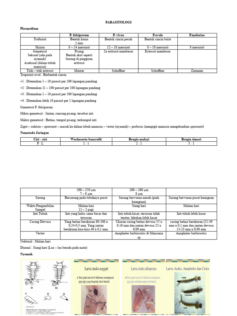 PARASITOLOGI | PDF