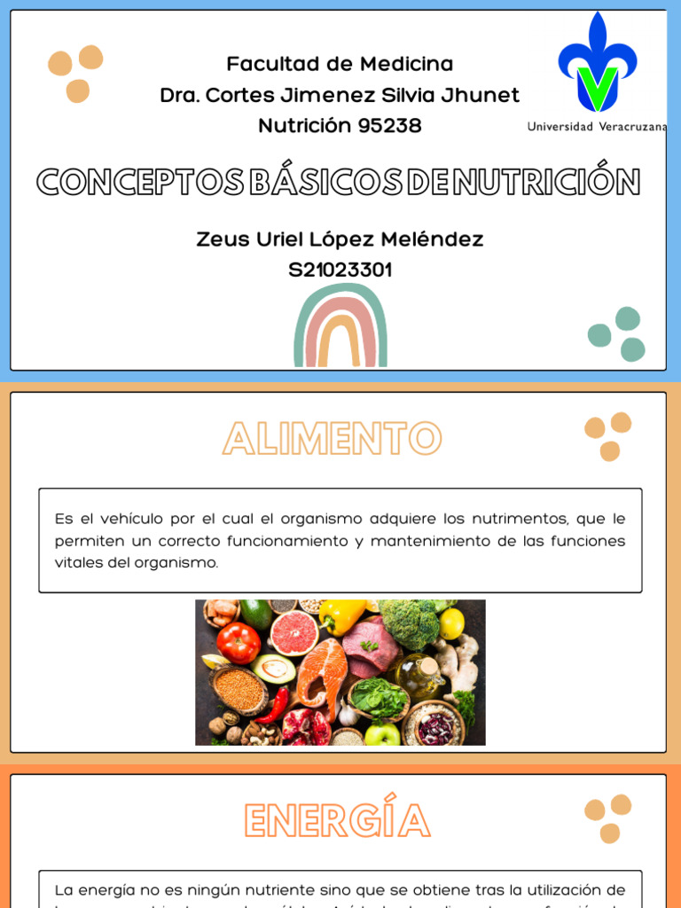 Flashcards-Conceptos Básicos Nutrición | PDF