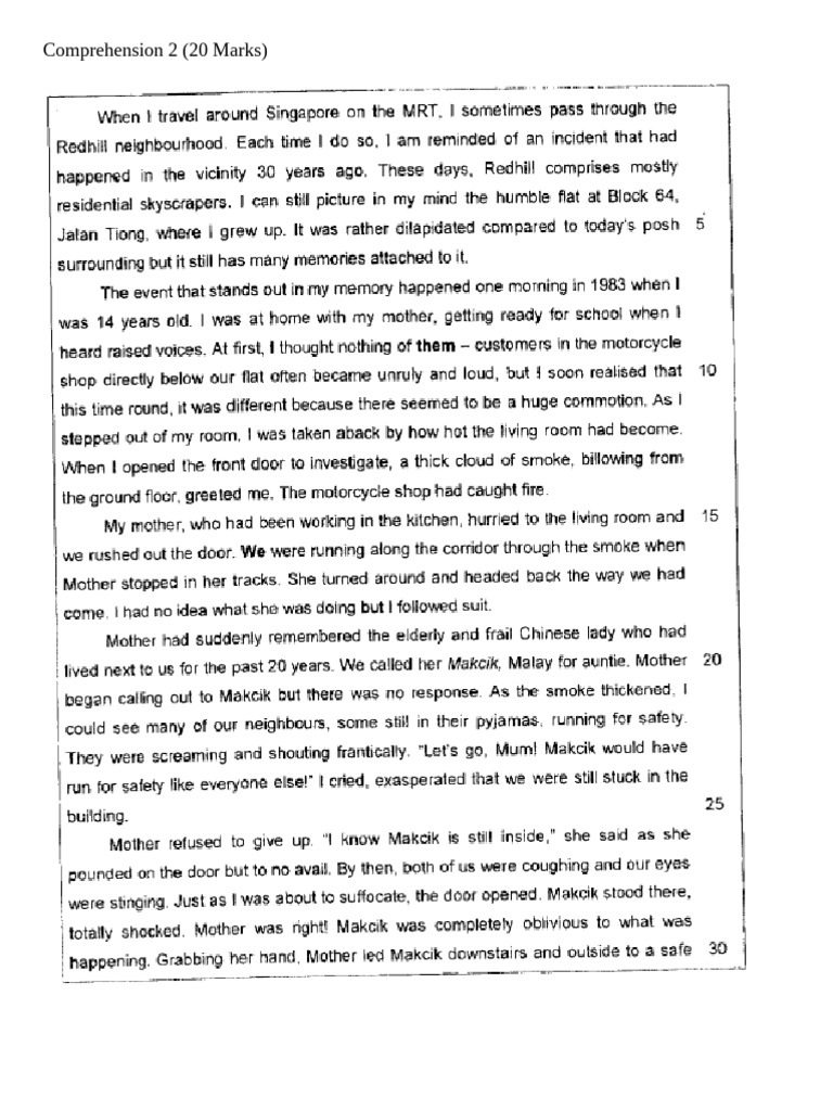 Comprehension 2 | PDF