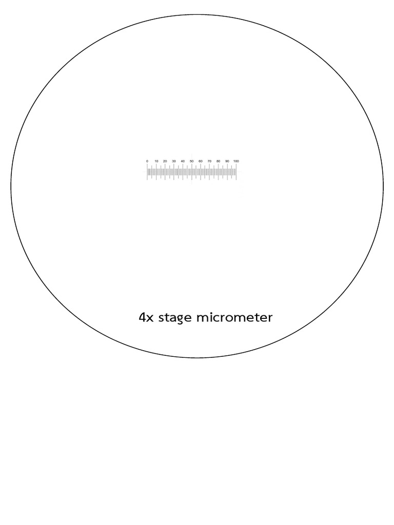 Stage and Ocular Micrometer | PDF