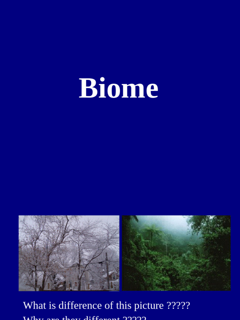 BIOME | PDF