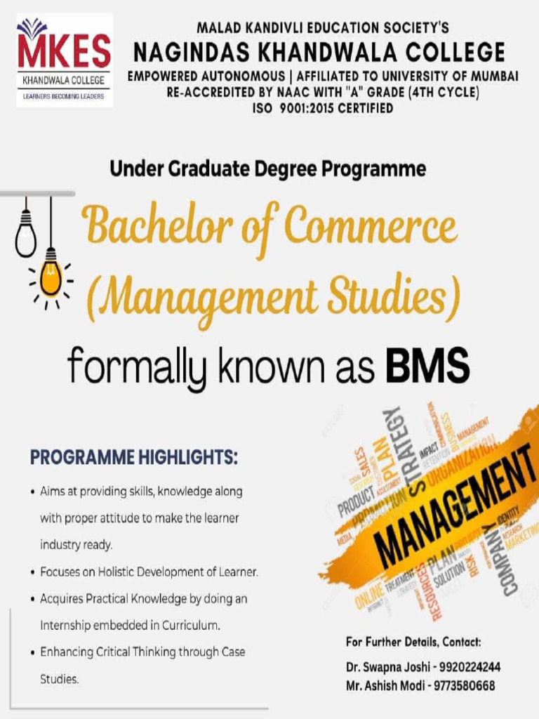 BMS | PDF