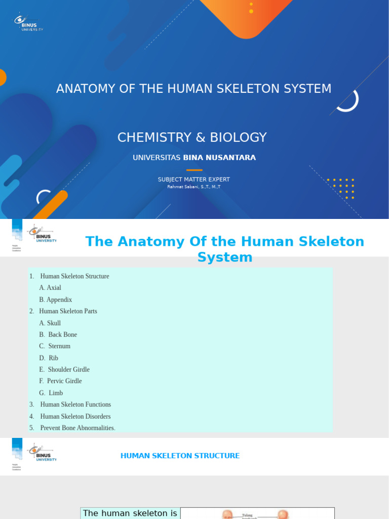 Ppt Cb Anatomi of Human Skeleton Ppt Week 1-Edit | PDF