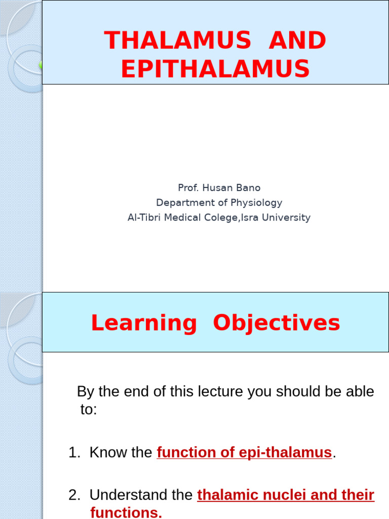 Lecture Thalamus and Epithalamus HB | PDF