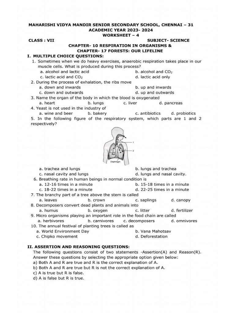 CLASS VII Science Worksheet 4 | PDF