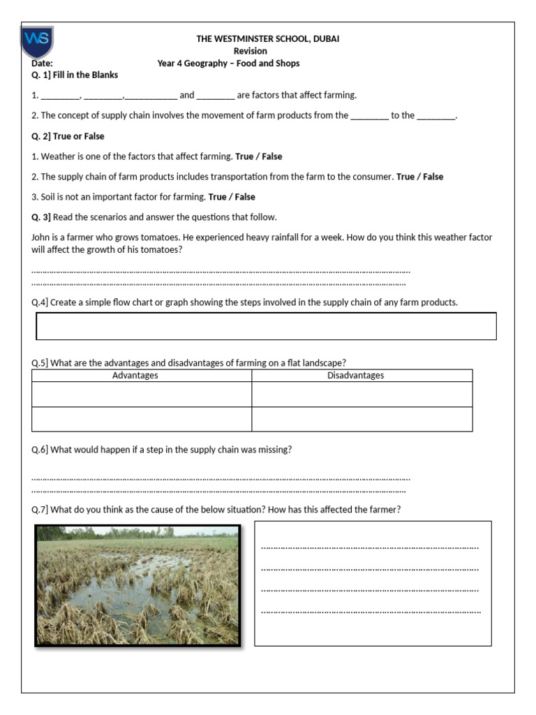Food and Shops - Revision Worksheet | PDF