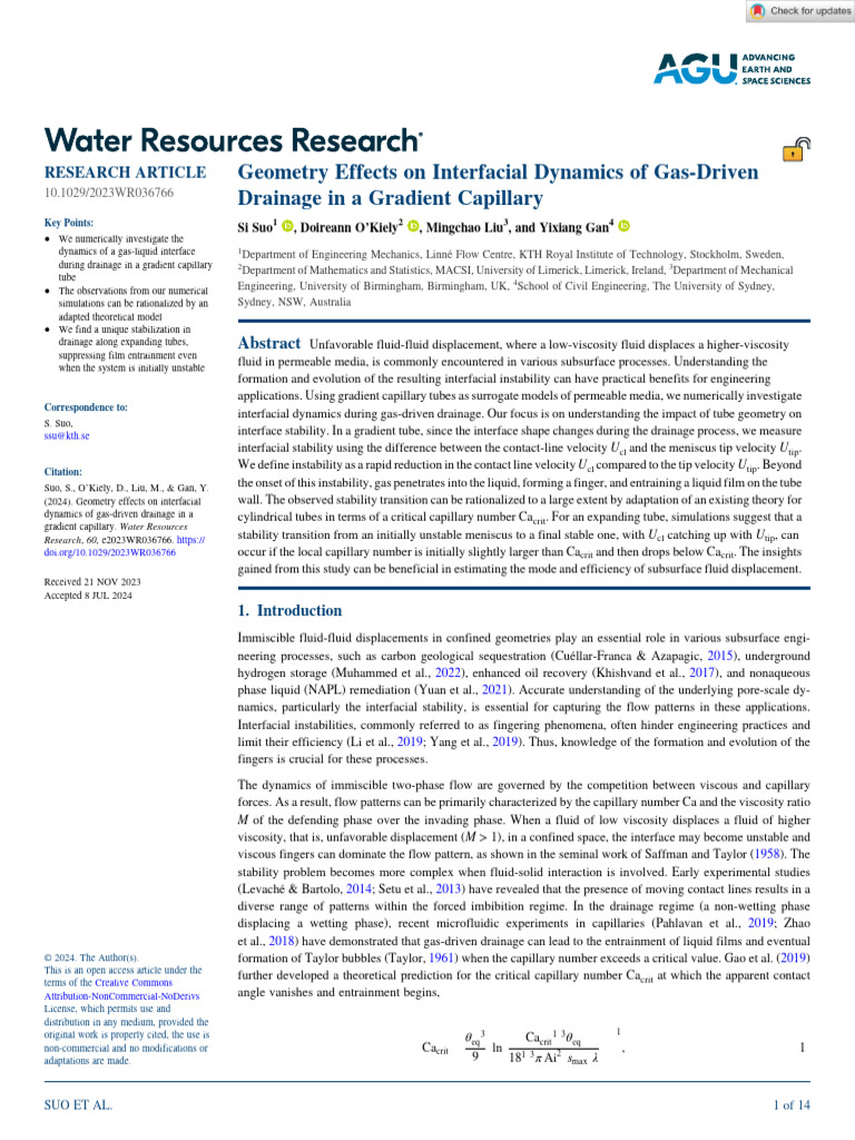 Water Resources Research - 2024 - Suo - Geometry Effects On Interfacial Dynamics of Gas Driven ...