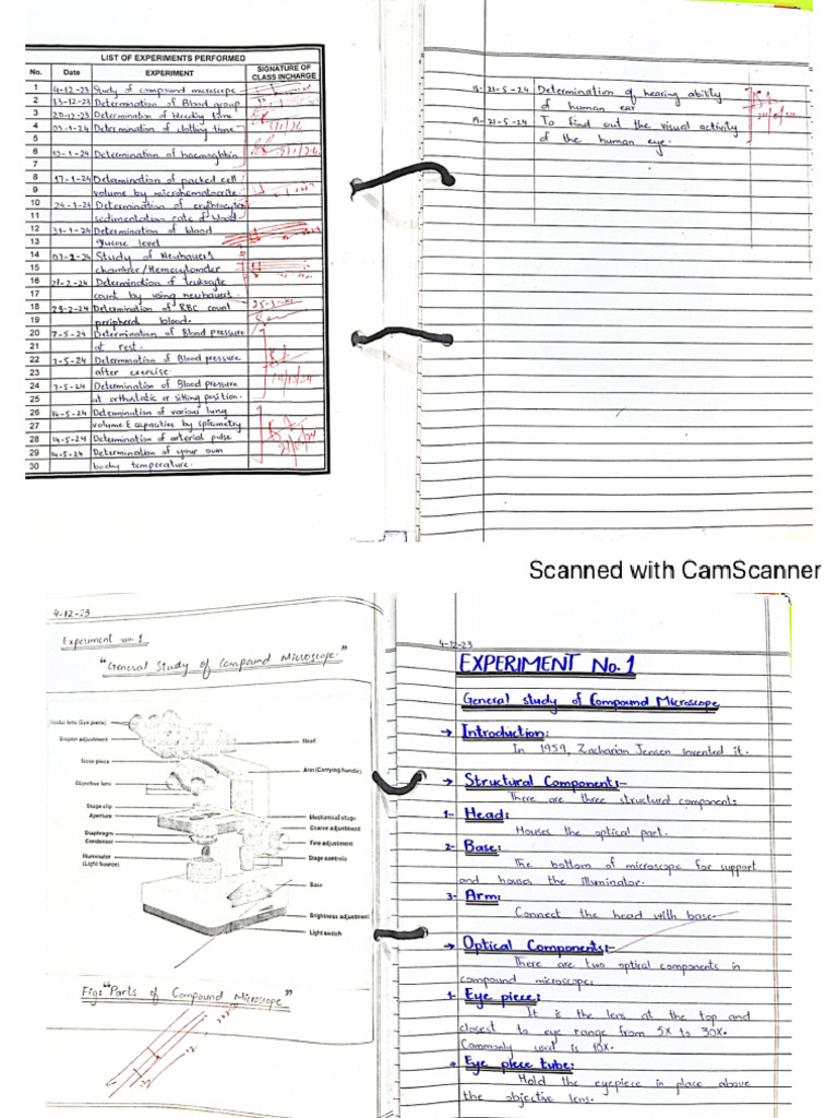 Physio Practical | PDF
