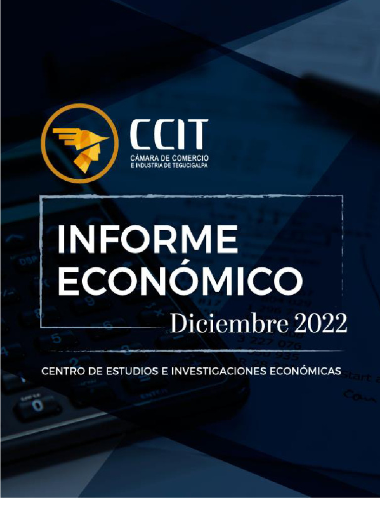 Informe Economico Diciembre 2022 | PDF