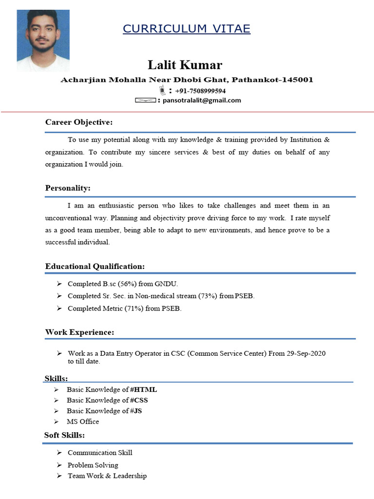 CV Lalit | PDF | Career & Growth