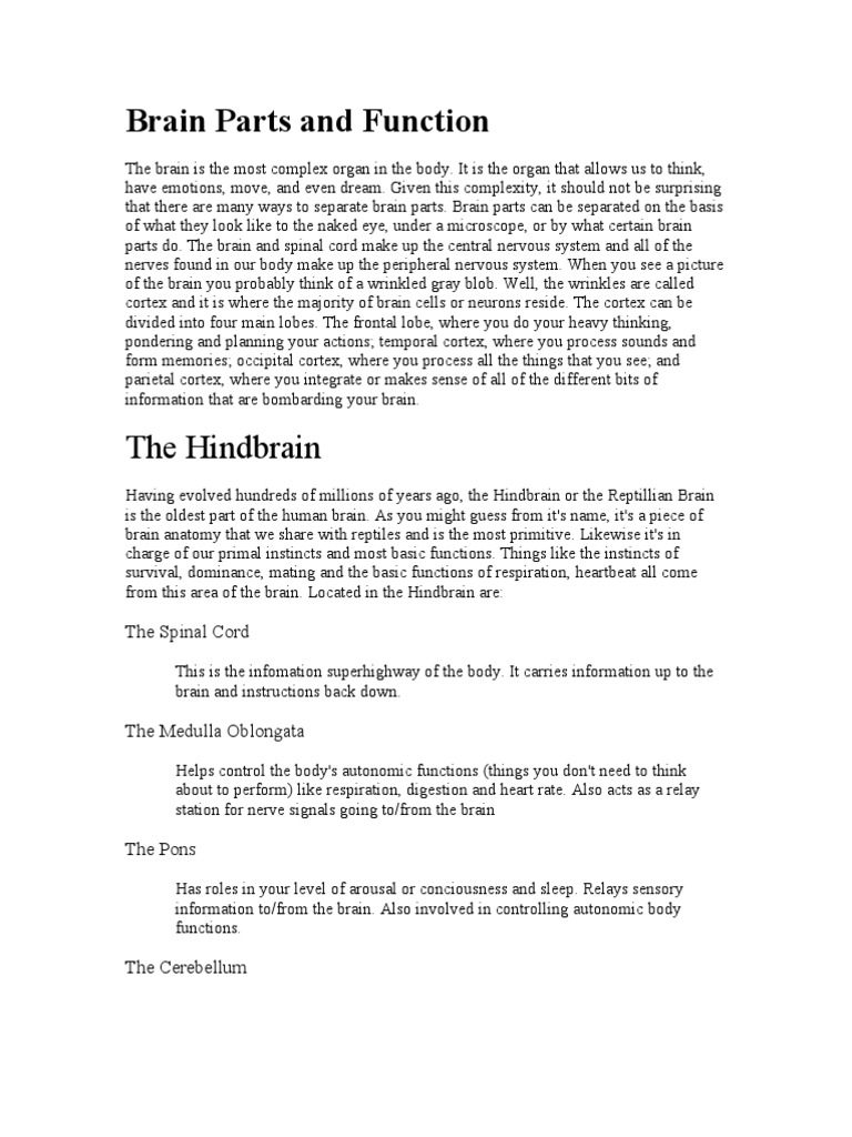 Brain Parts and Function | PDF | Memory | Limbic System