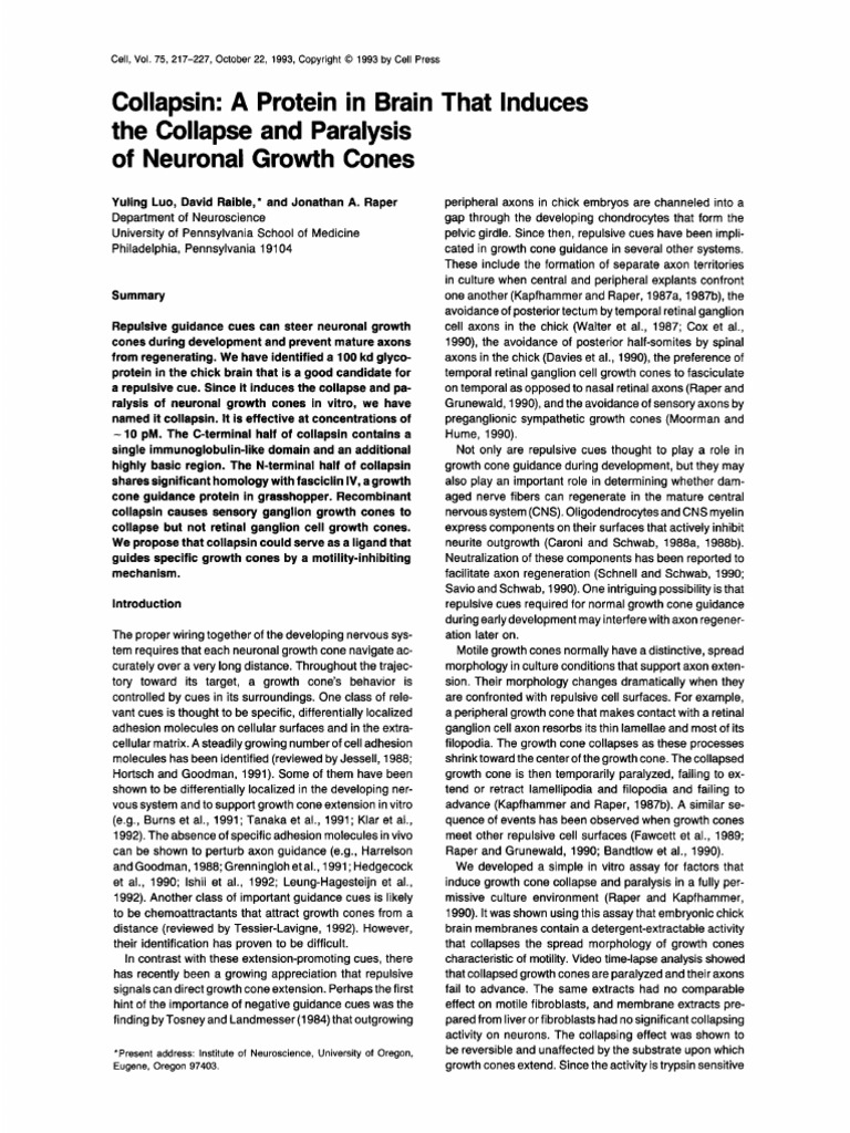 Collapsin A Protein in Brain That Induces The Col | PDF