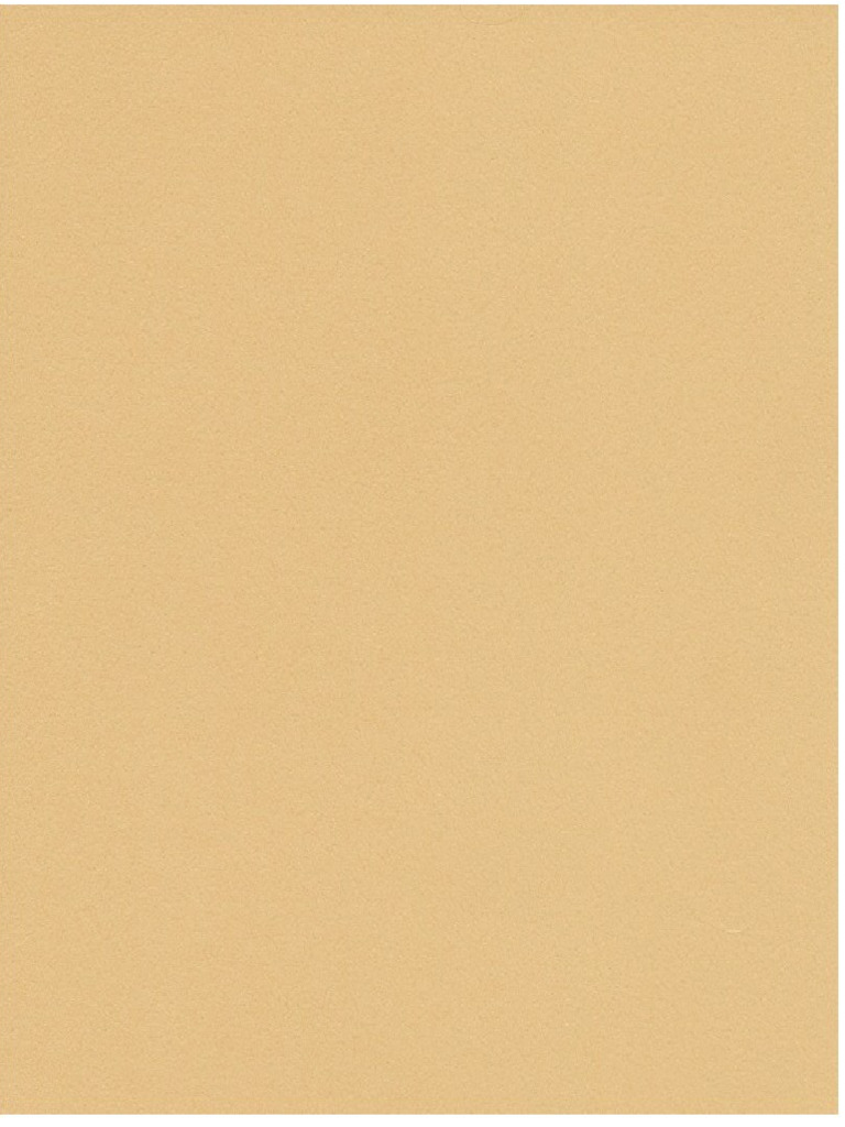 Chapter 1 Important Questions (History) | PDF