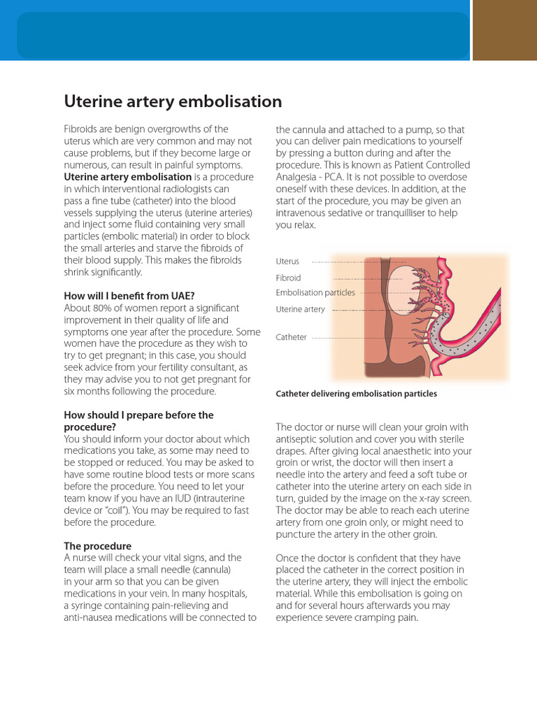 Uterine Artery Embolisation | PDF