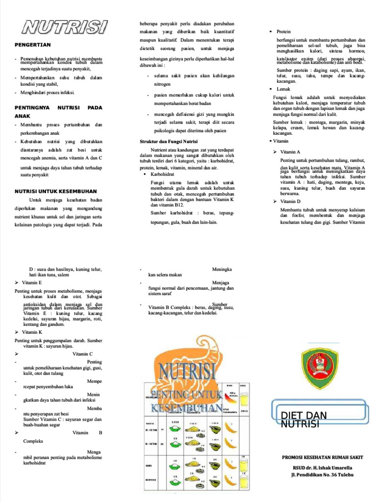 PDF Leaflet Diet Nutrisi Compress | PDF