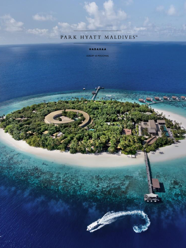 Ms - Marita Grzelak | PDF