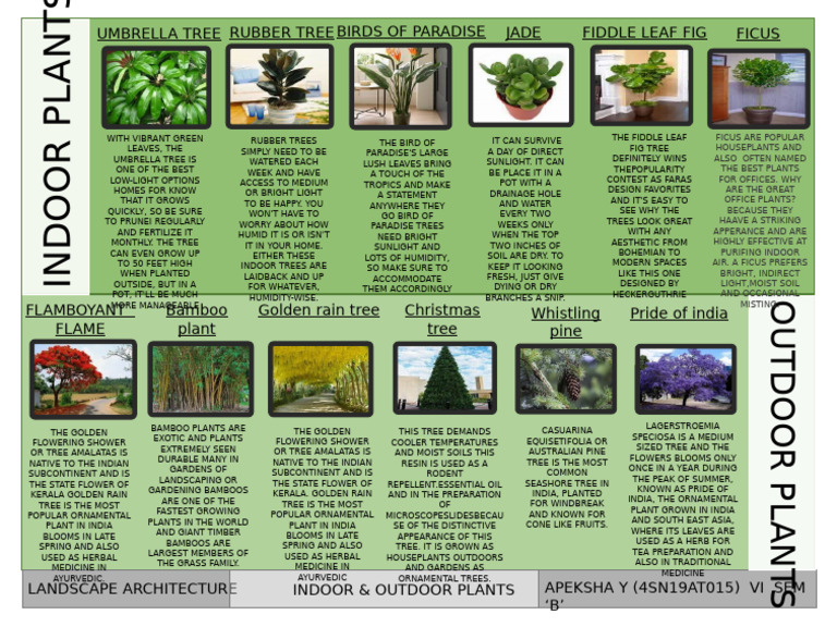 Indoor and Outdoor Plants | PDF