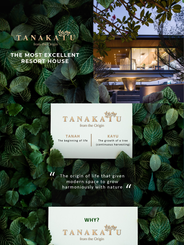 Ebrochure Tanakayu Vasya | PDF