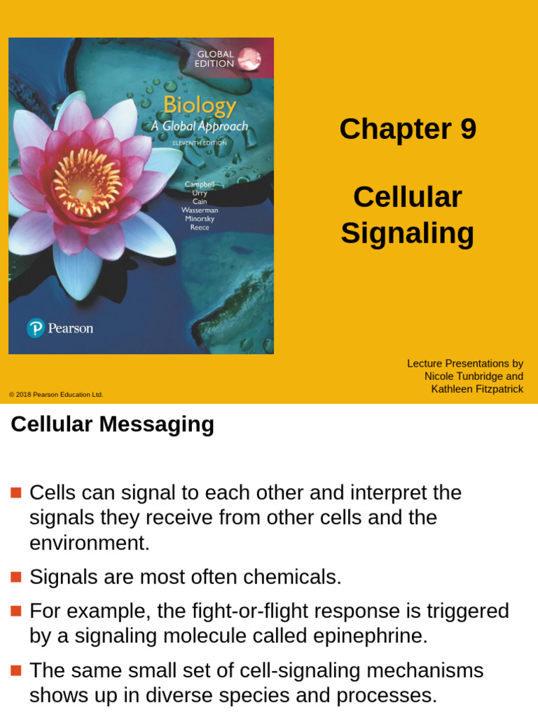 Ch09 Accessible Lecture Presentation (1) | PDF Ch09 Accessible Lecture Presentation (1) | PDF