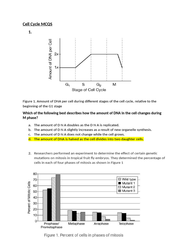 Cell Cycle Wsheet Answer Key | PDF