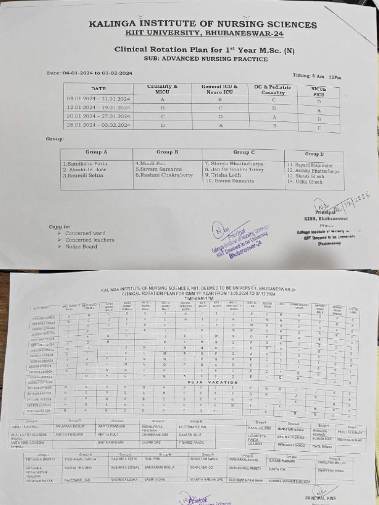 Sample Clinical Rotation Plans Gnm, Bsc, Msc | PDF