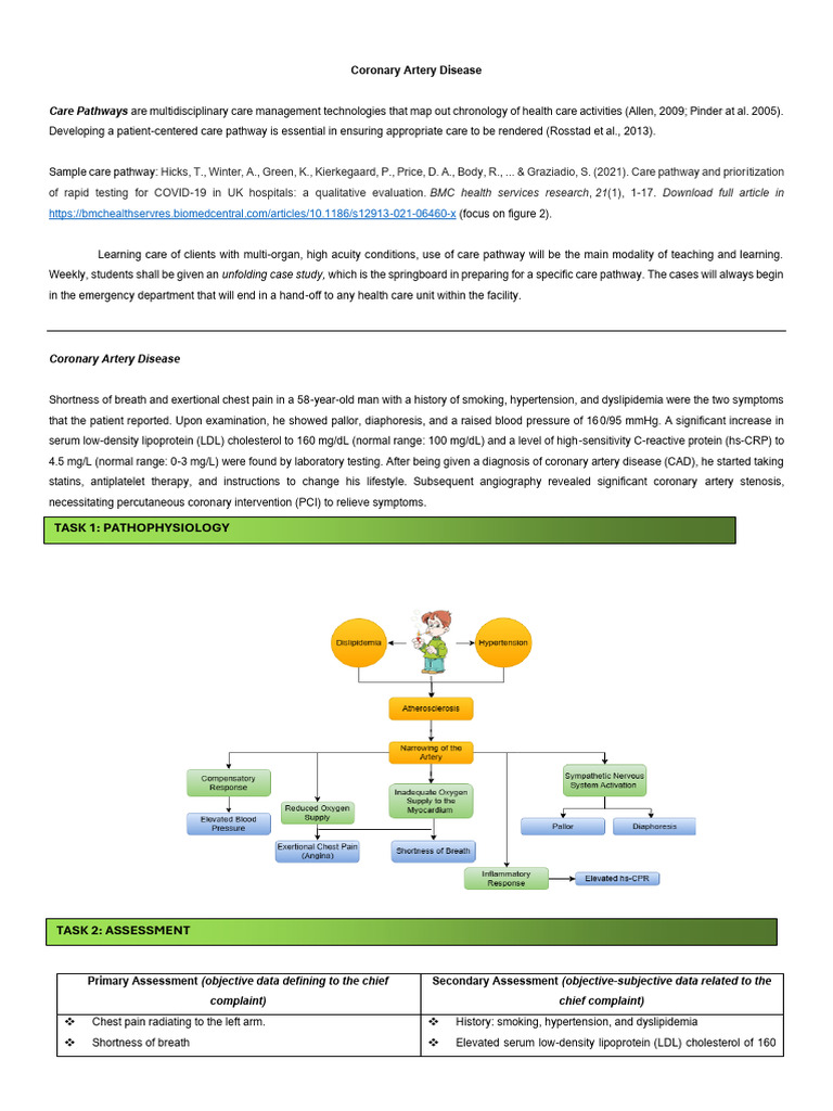 Coronary Artery Disease Care Pathway Guide | PDF | Coronary Artery ...
