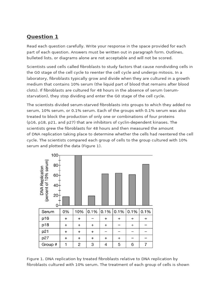 Vacation Worksheet | PDF