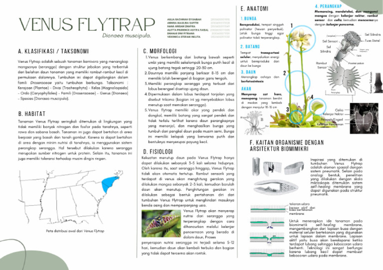 Arsitektur Biomimikri Venus Flytrap | PDF