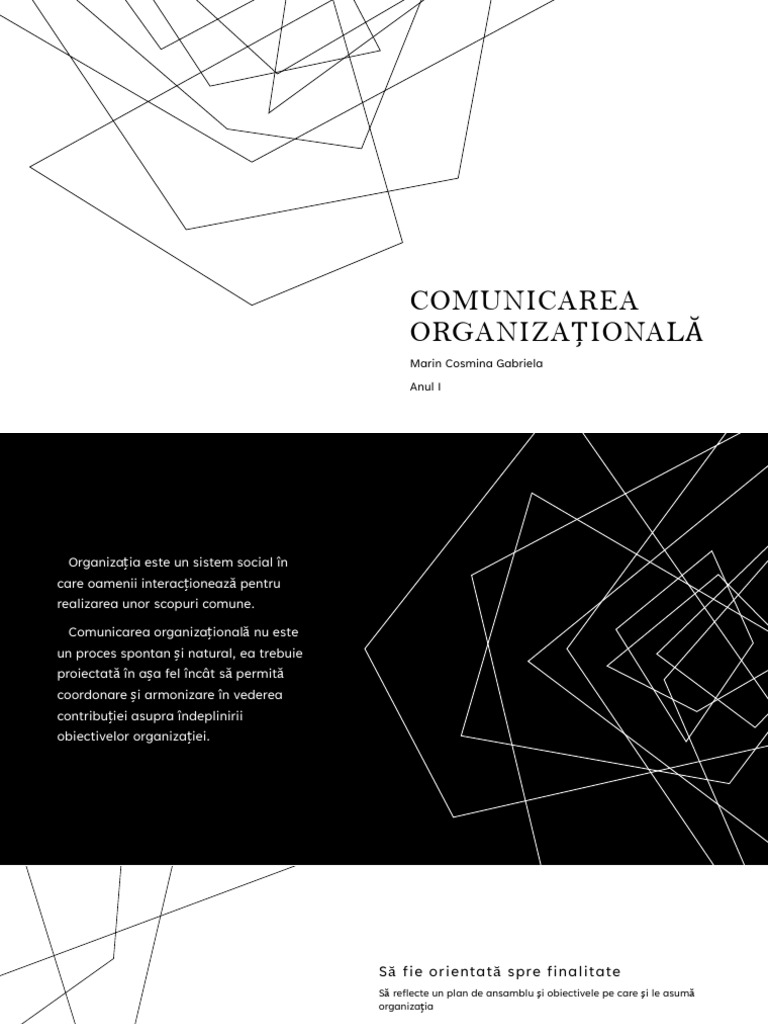 Comunicarea Organizațională | PDF
