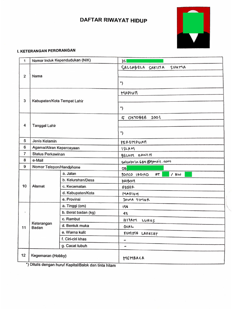 Contoh DRH Update | PDF