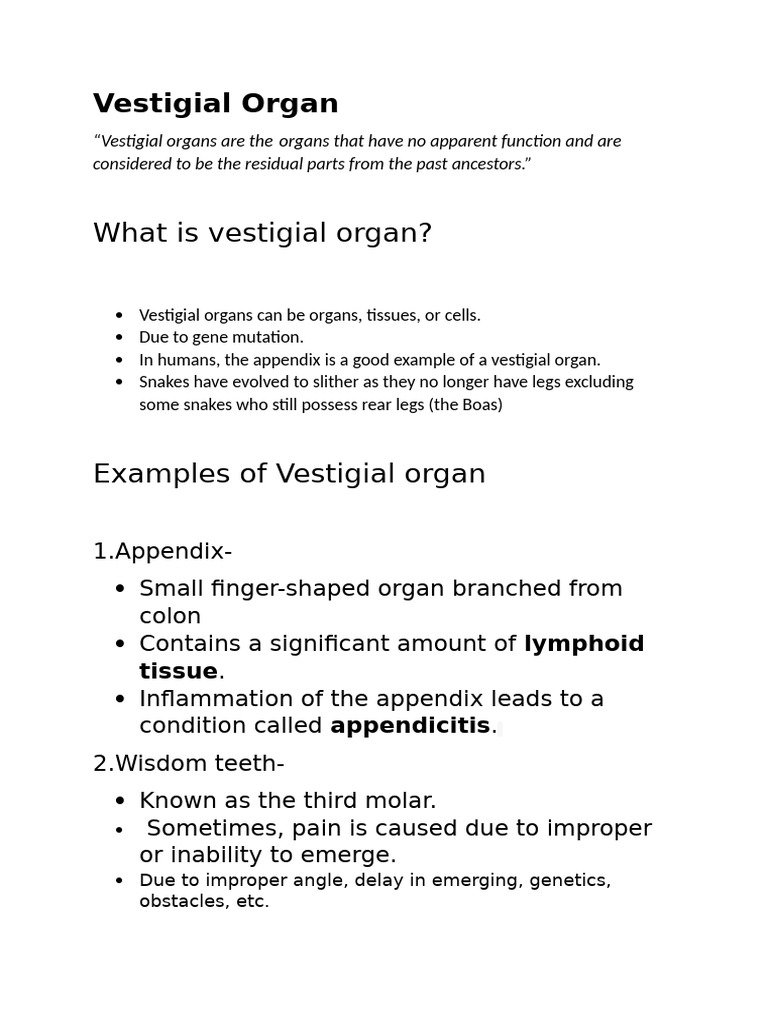 What Is Vestigial Organ? | PDF