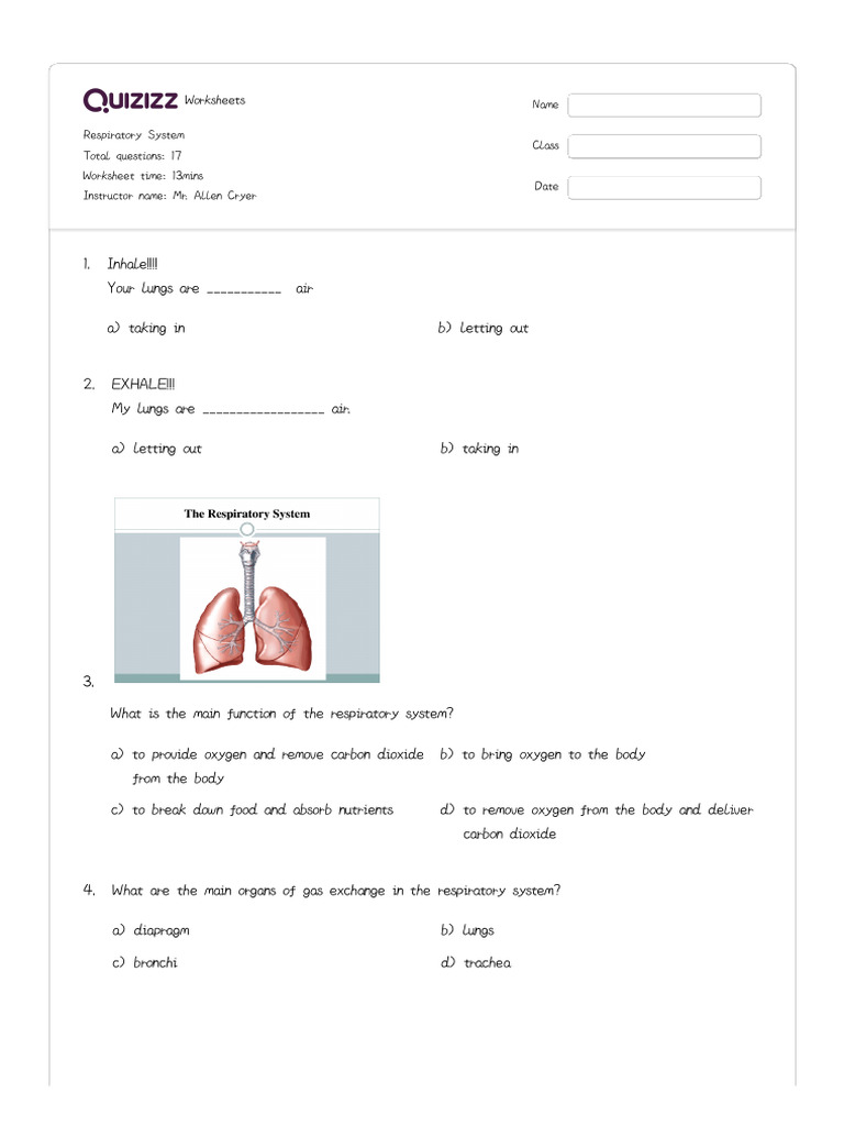 Respiratory System - Quizizz | PDF