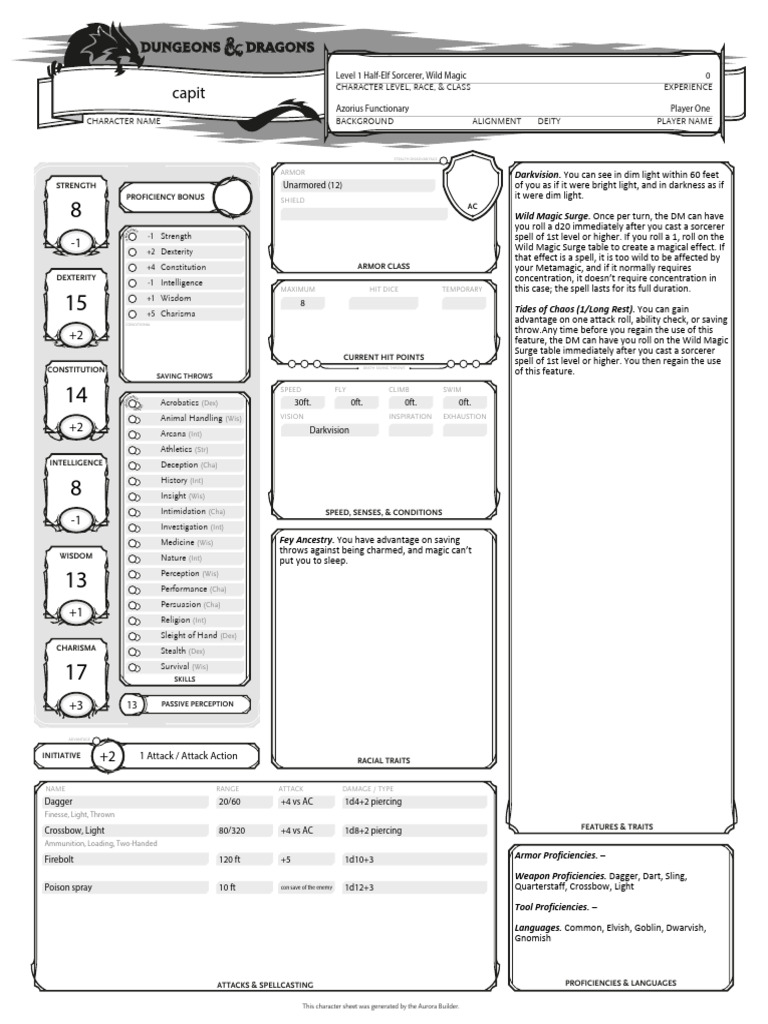 Capit Charcter Dnd | PDF