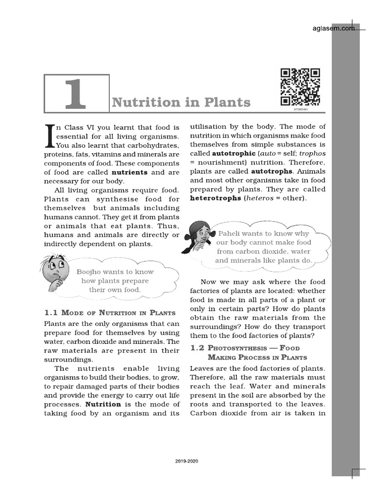 Science Plants | PDF